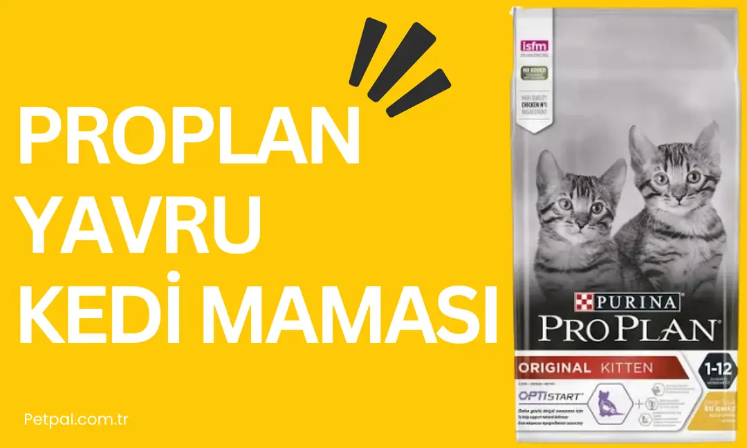 Proplan Yavru Kedi Maması
