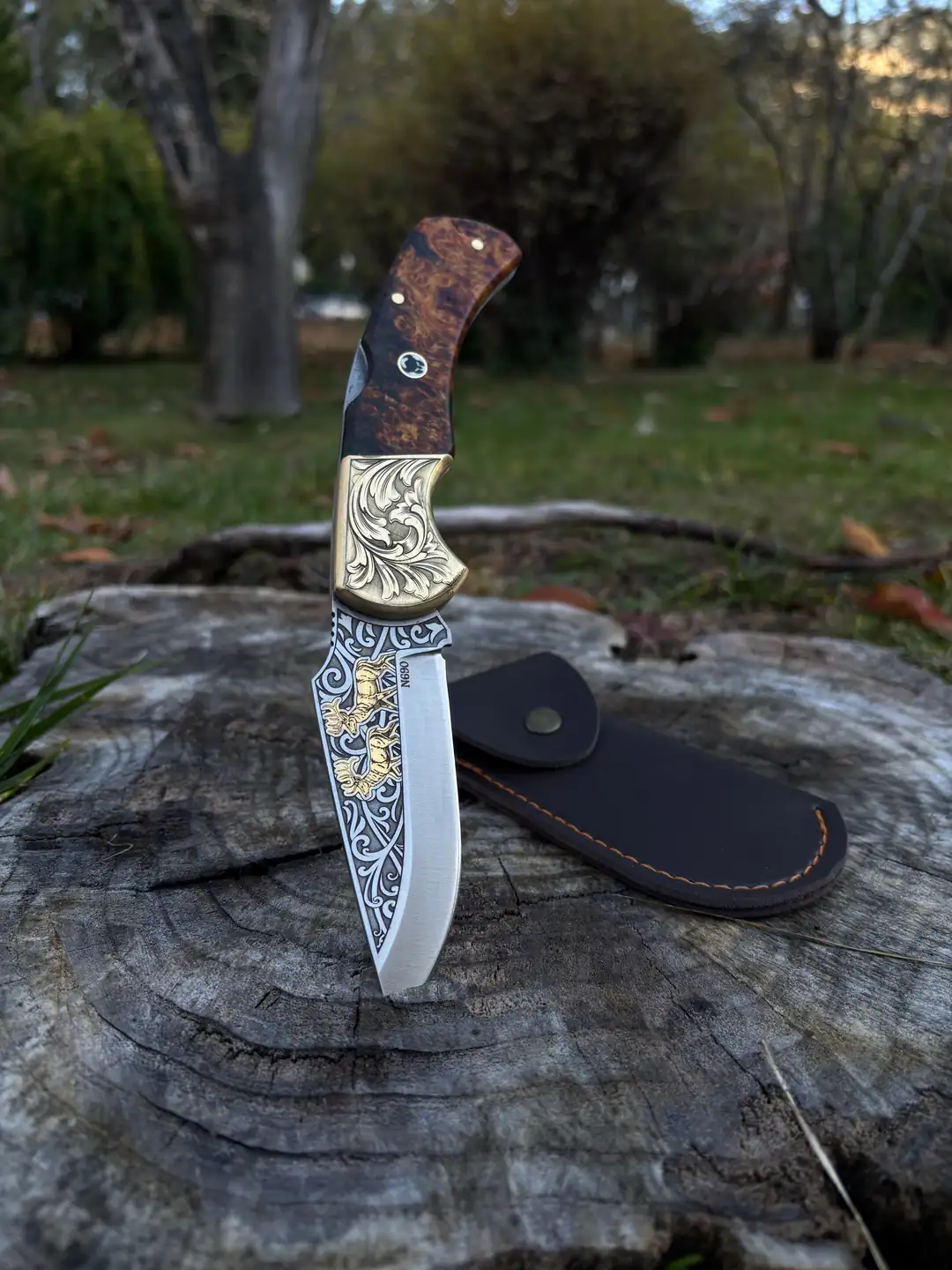 Altın Kaplama Model