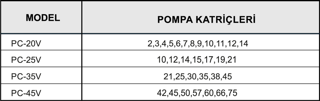 PC45V SABİT DEBİLİ PALETLİ POMPA KATRİÇİ