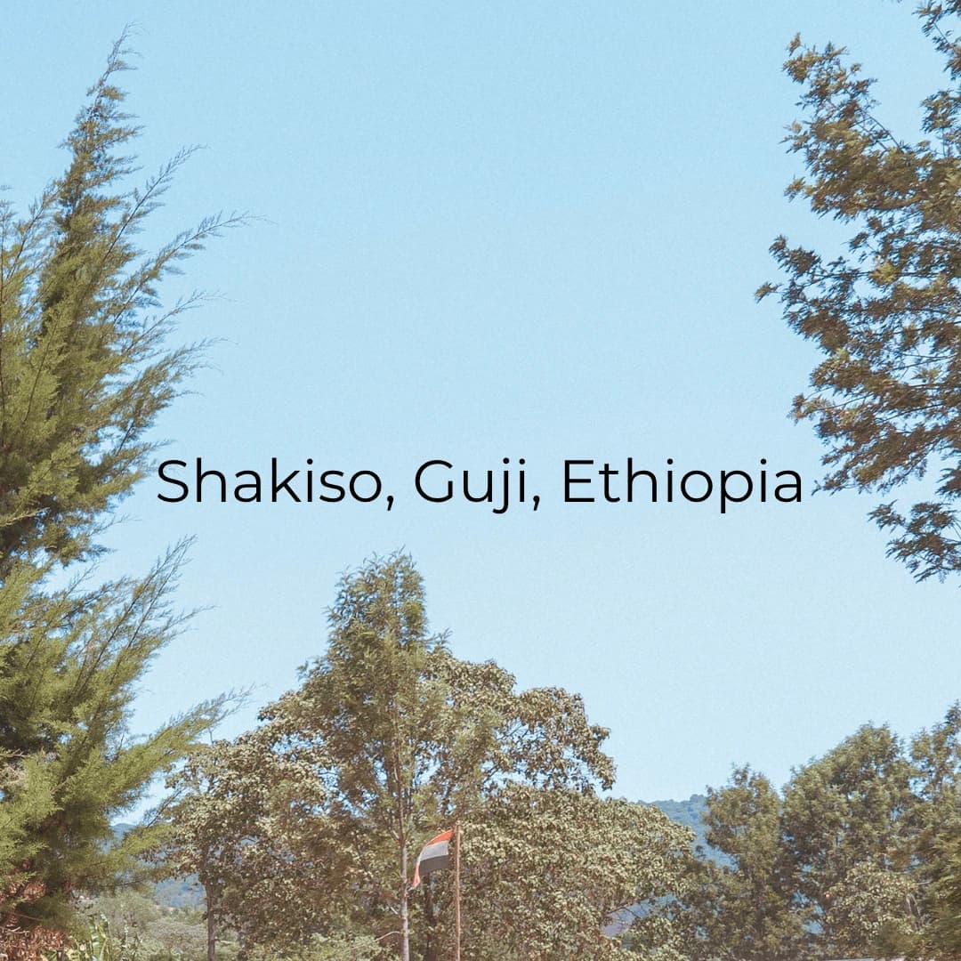Shakiso, Guji, Ethiopia