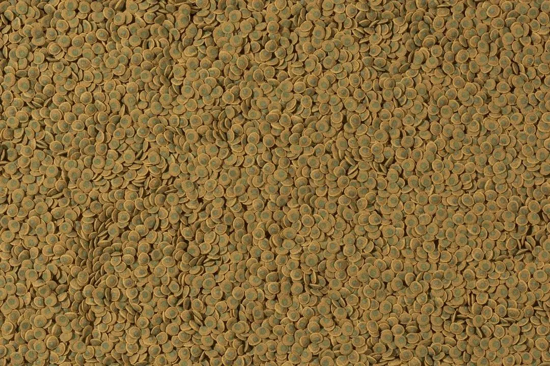 TETRA Pleco Veggie Wafers Tablet Yem 500 GR