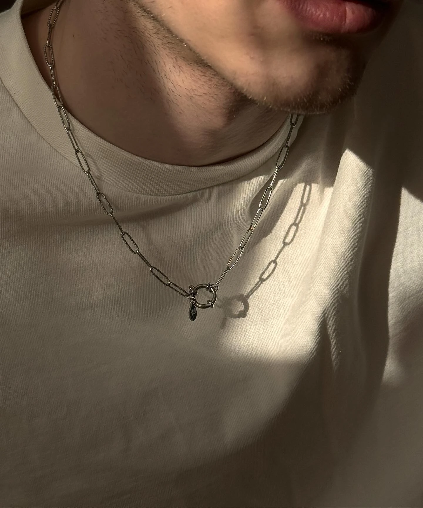 Silver Ring Necklace