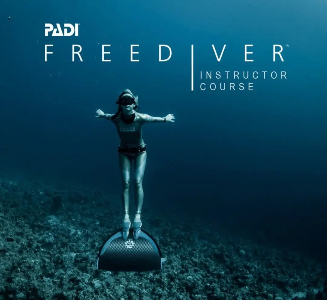 Padi Freediver Instructor Course