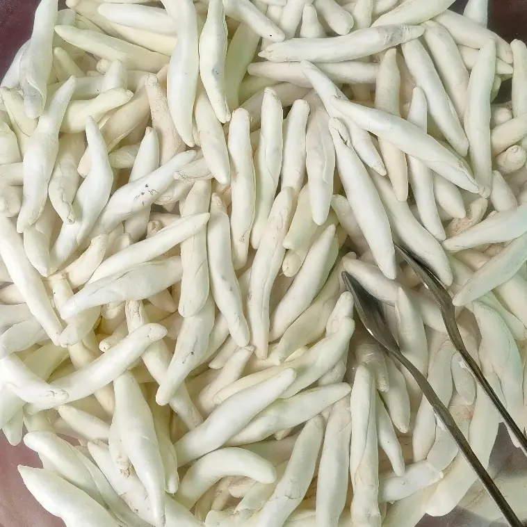 Doğal Organik Yayla Kenger Sakızı (Adet)