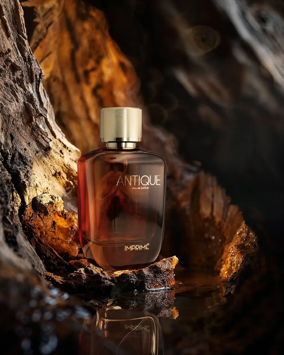 Intense Parfüm ile Kalıcı ve Yoğun Bir Koku Deneyimi