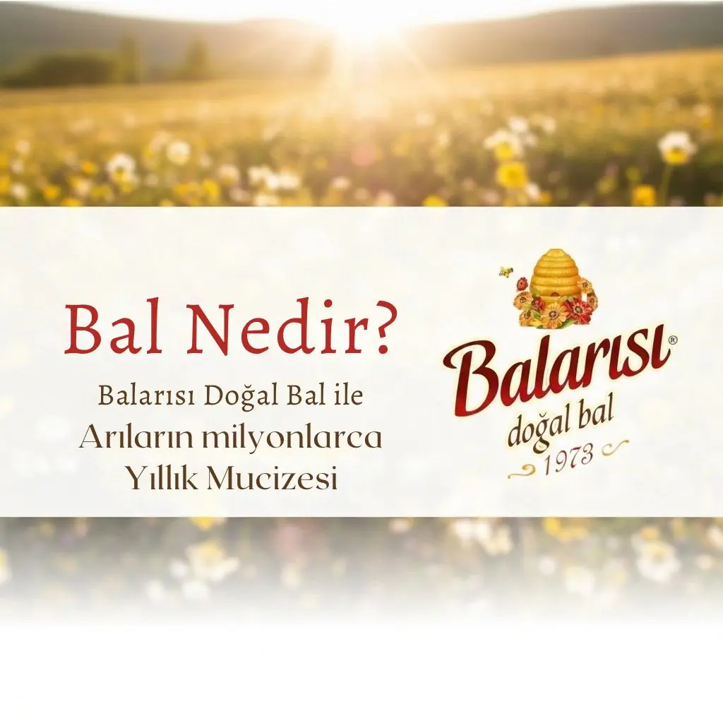 Bal Nedir? Balarısı Doğal Bal ile Arıların Milyonlarca Yıllık Mucizesi