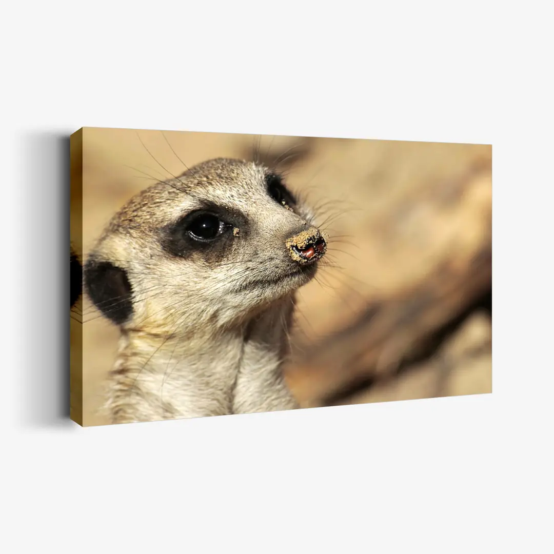 Mirket Tablo - Aşiyan Sanat Çerçeve ve Tablolar