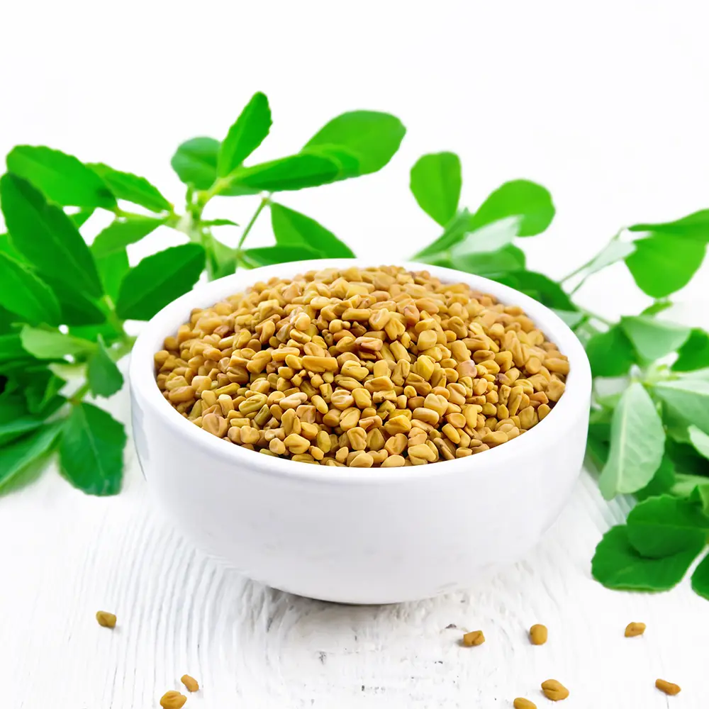 Çemen Yağı | New Raw Materials Toptan ve Perakende Hammadde