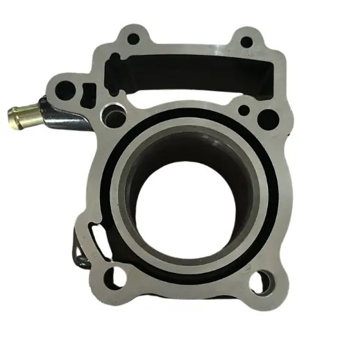 Bajaj Pulsar NS 200 Cylinder Empty Liner India