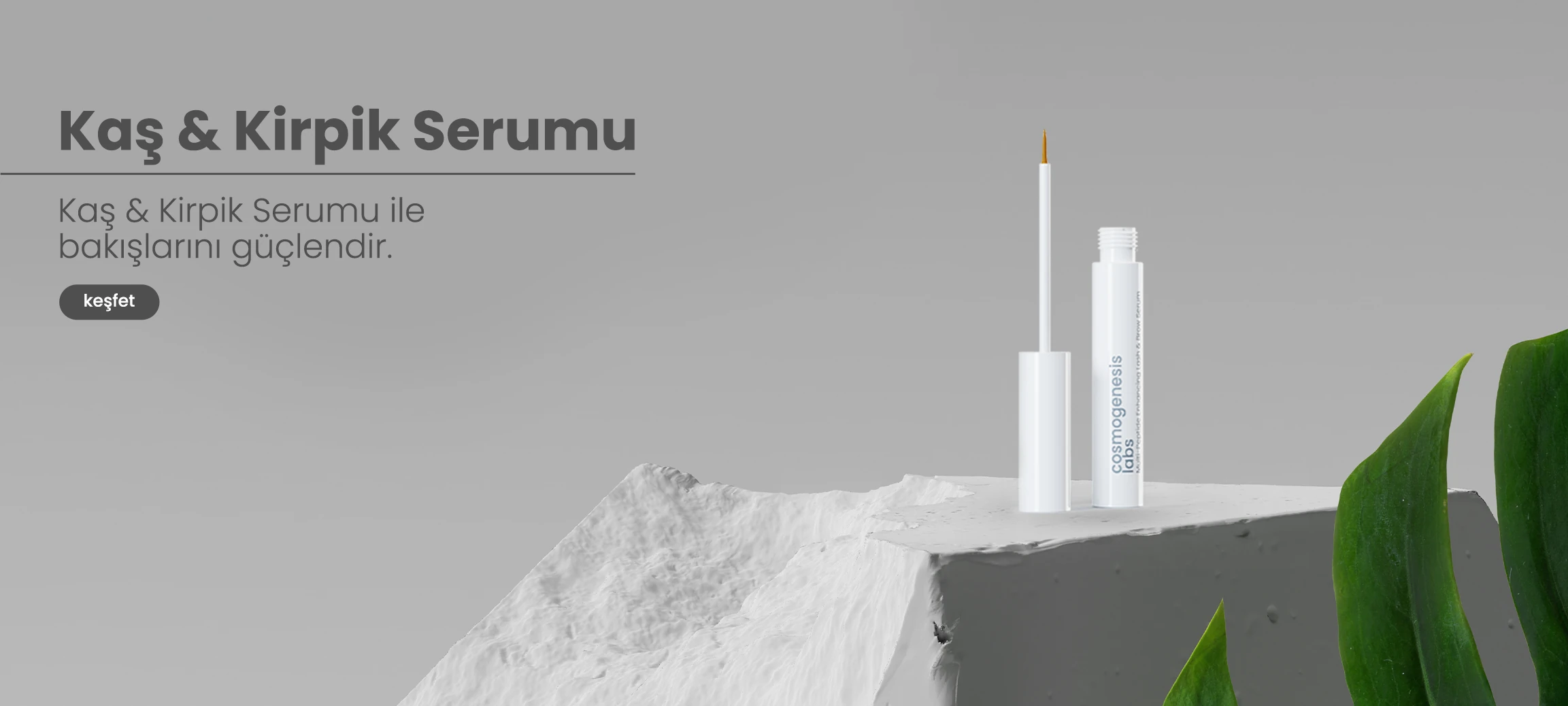 Cosmogenesis Labs l The Universe is You