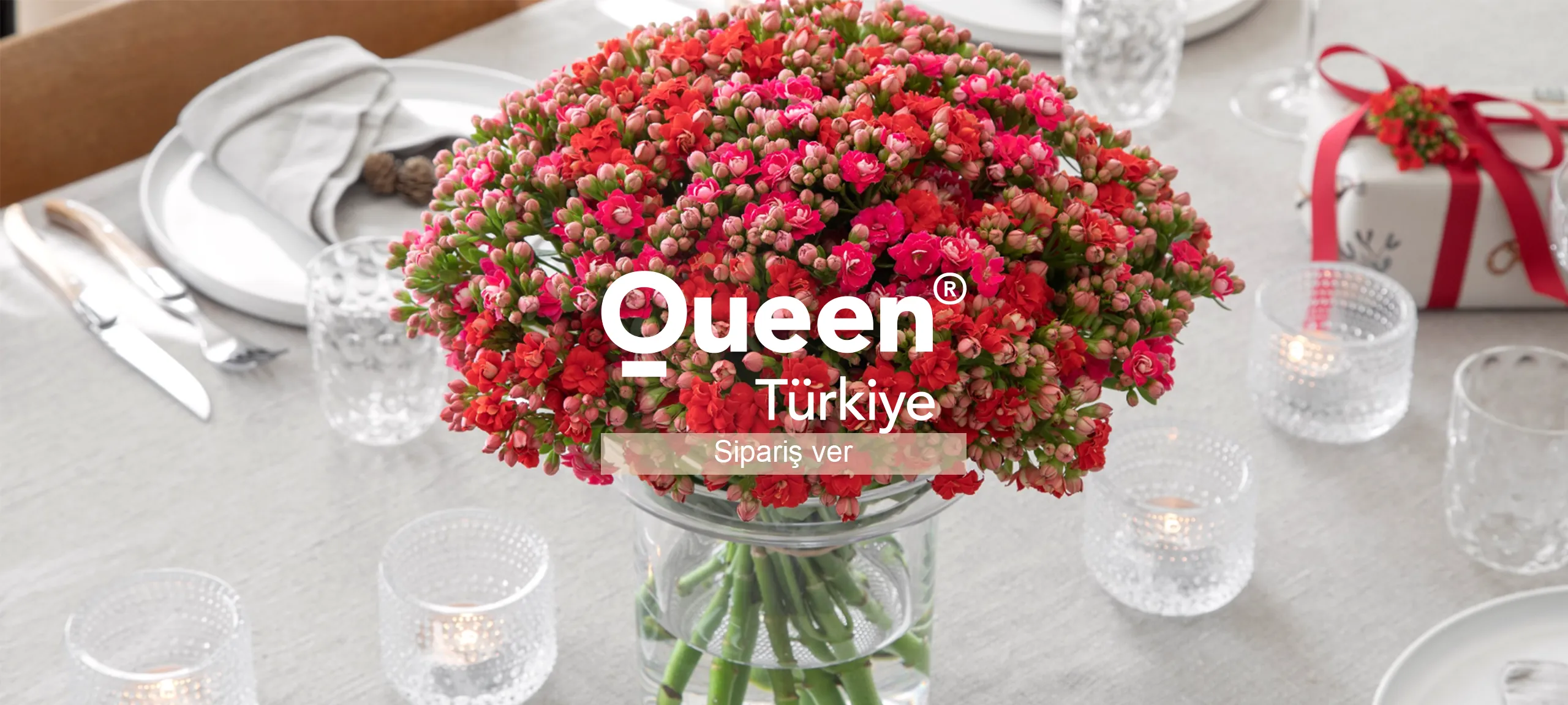 Queen® Türkiye