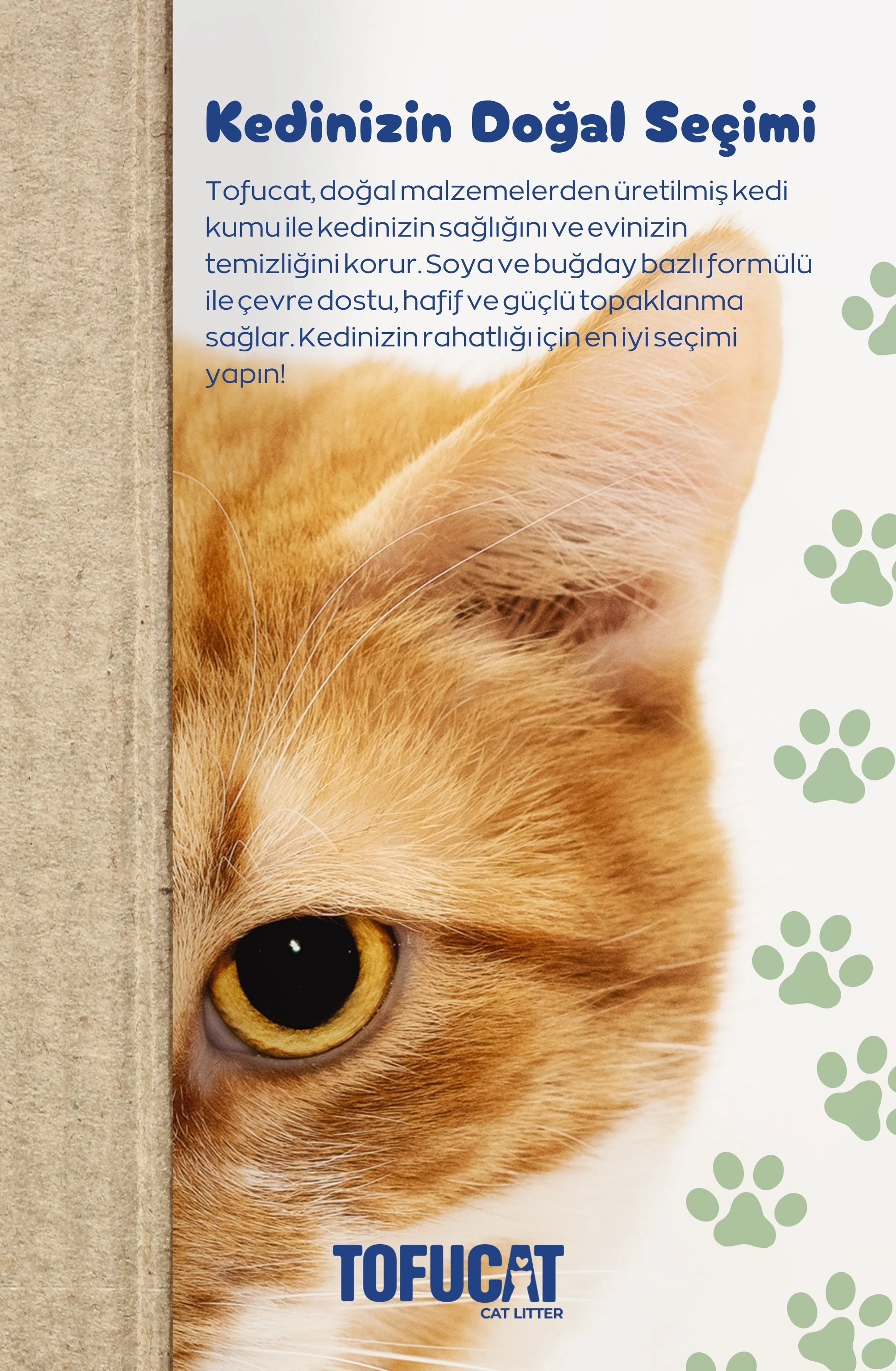 Tofucat Tofu Kedi Kumu