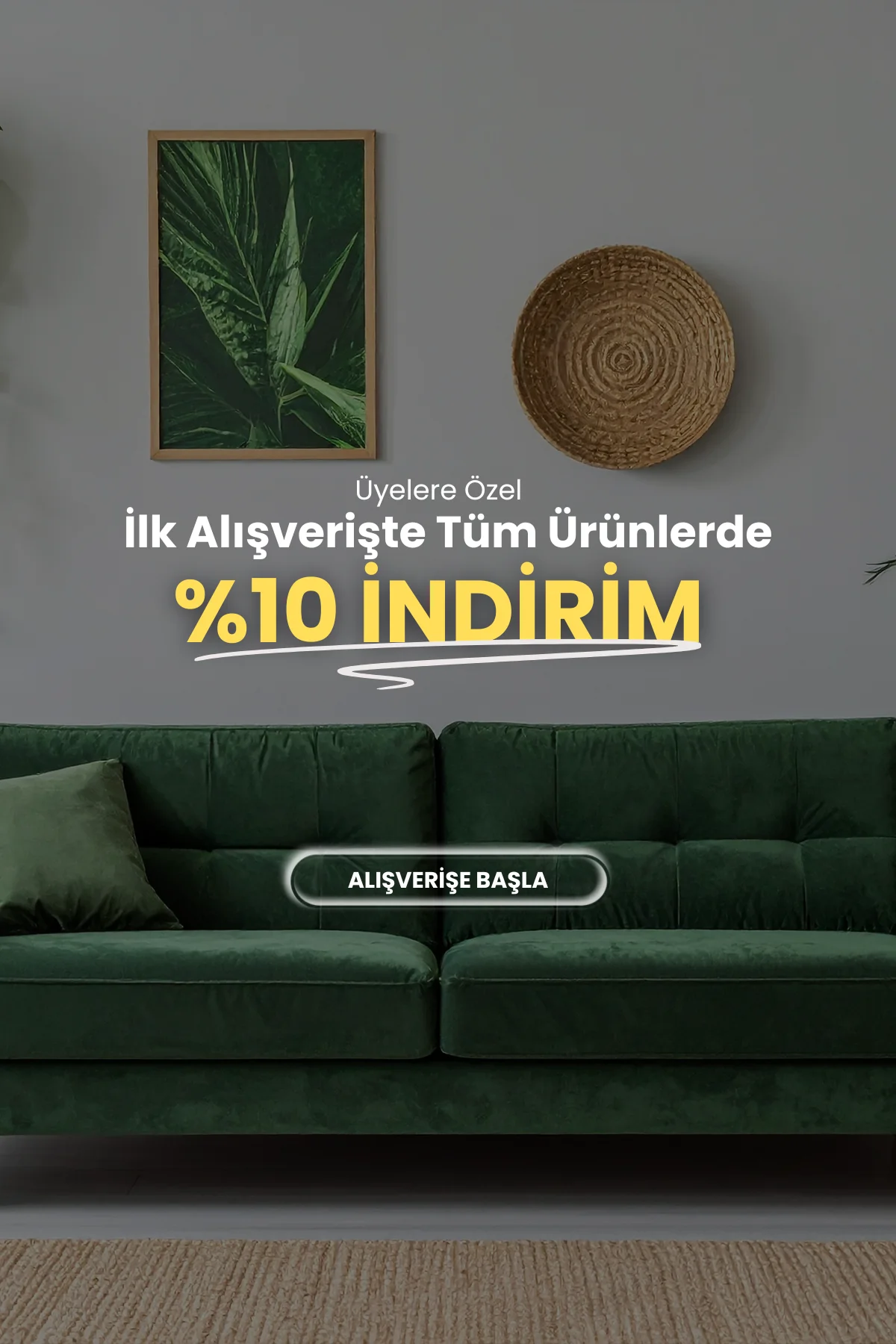 Bitkim | İç Mekan Canlı Süs Bitkileri ve Saksı Çiçekleri