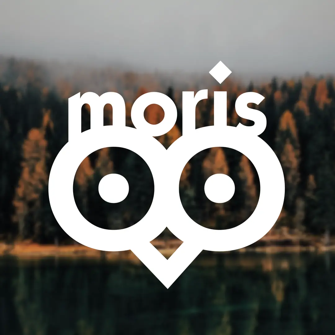 Take a Look on our Collection