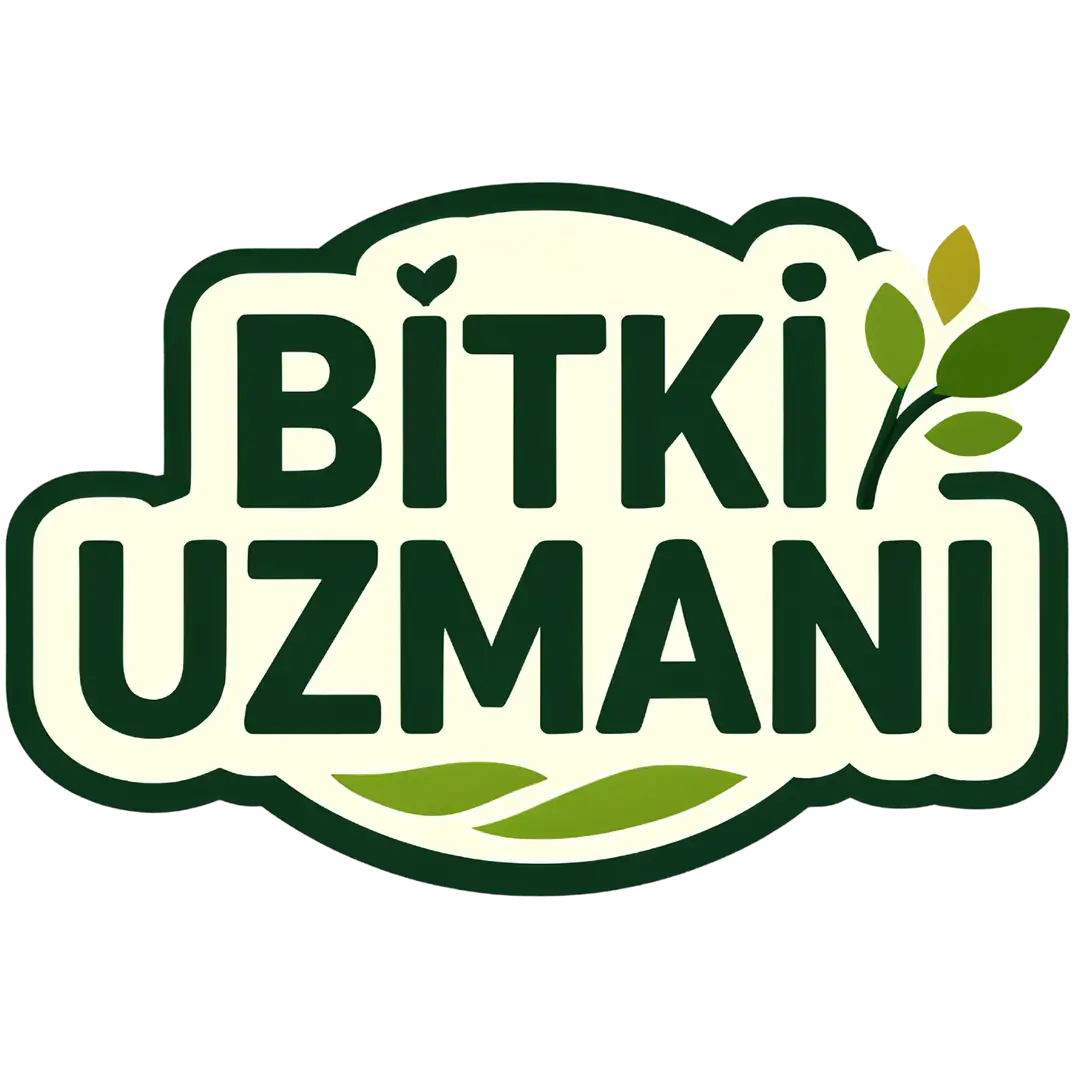 Bitki Uzmanı-Tohum, Fidan ve Bahçe Malzemeleri Online Satış