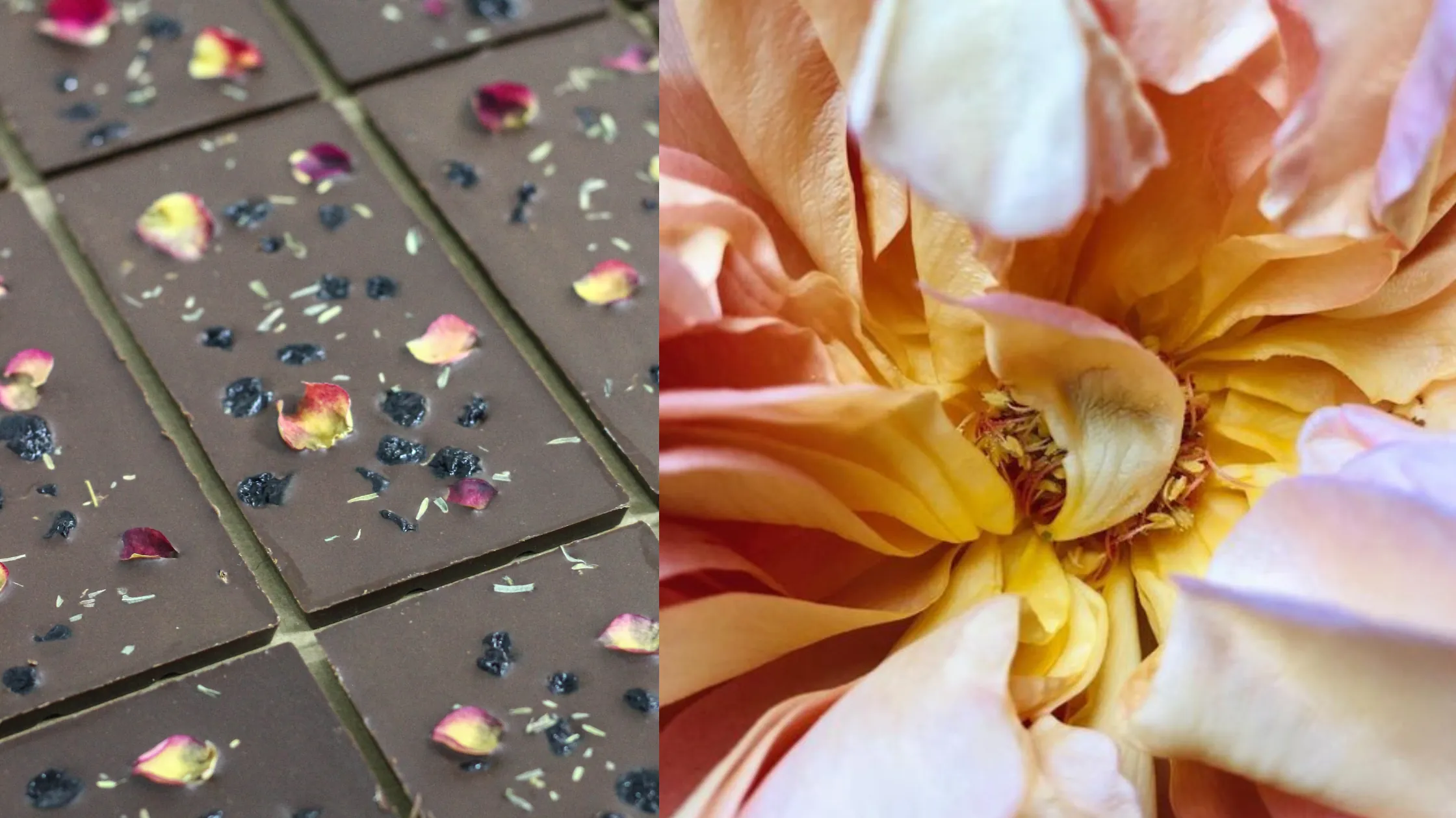 Rojok, keçiboynuzunun en yeni şekli!