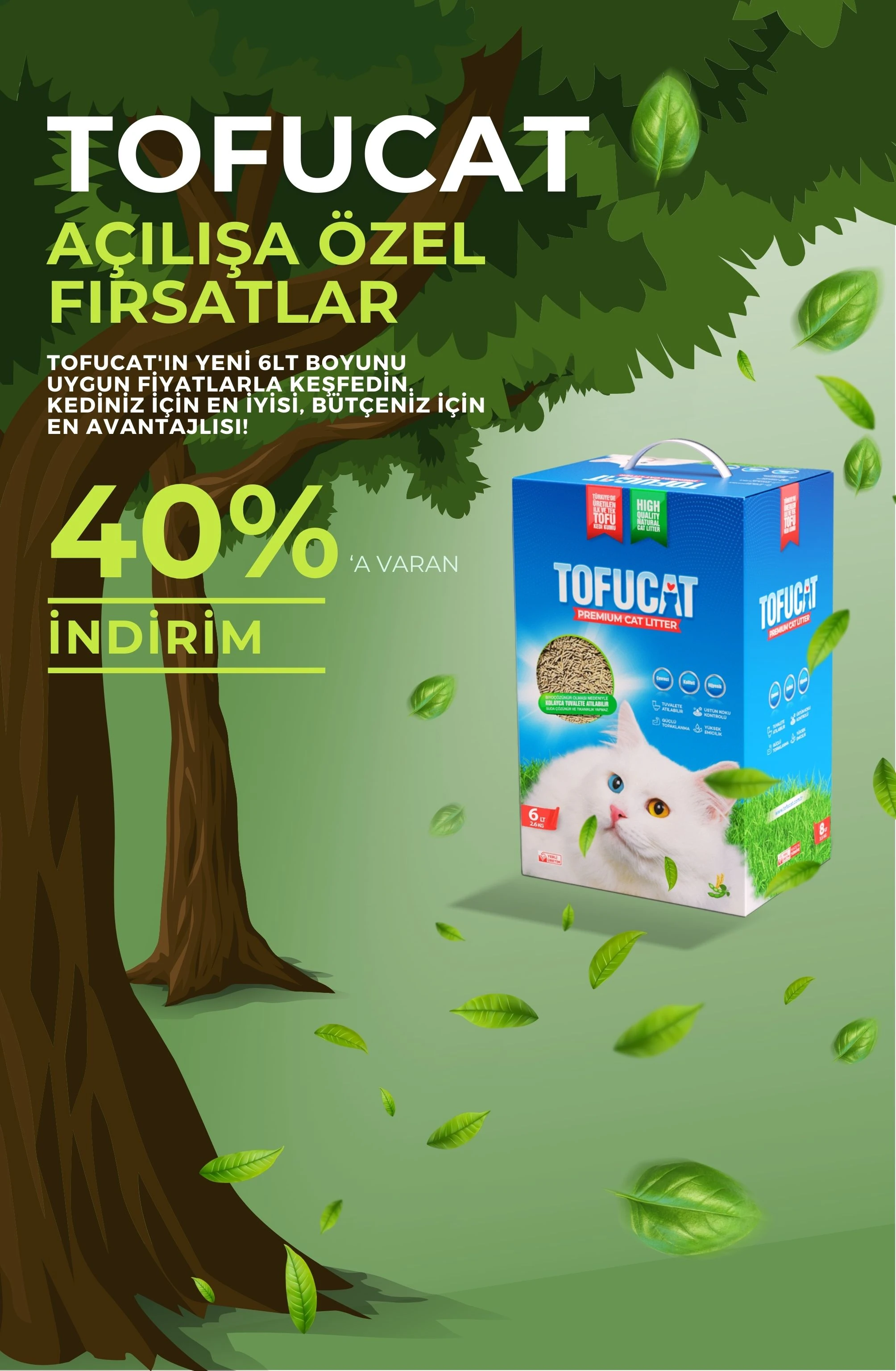 Tofucat Tofu Kedi Kumu