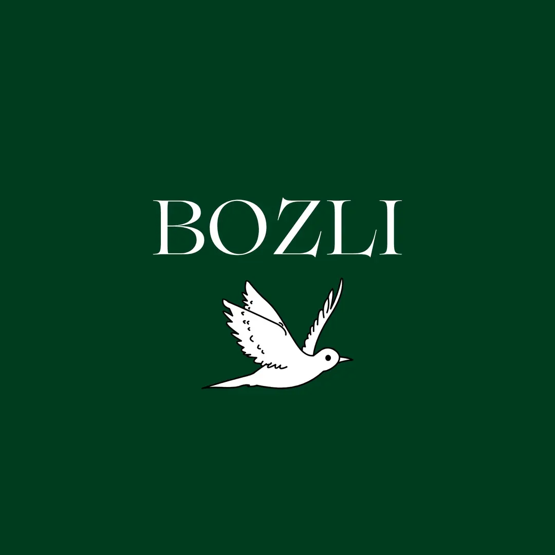 Bozli Jewelry | Sertifikalı Gerçek Gümüş & Altın Takılar | Ücretsiz Kargo
